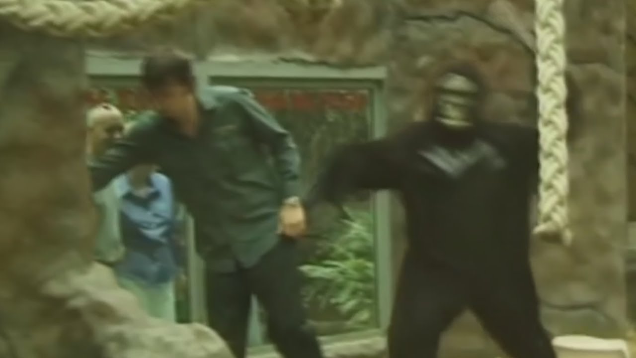 monkey escapes zoo - YouTube