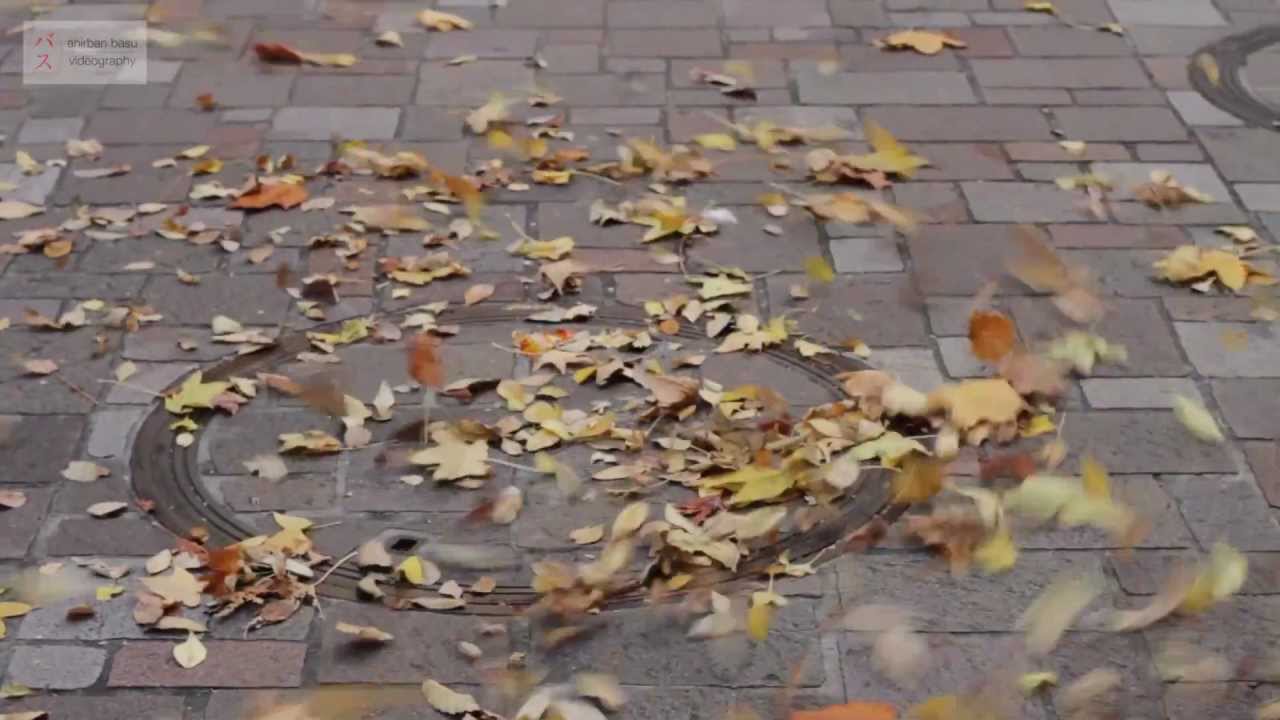 Wind swirl and autumn leaves - YouTube