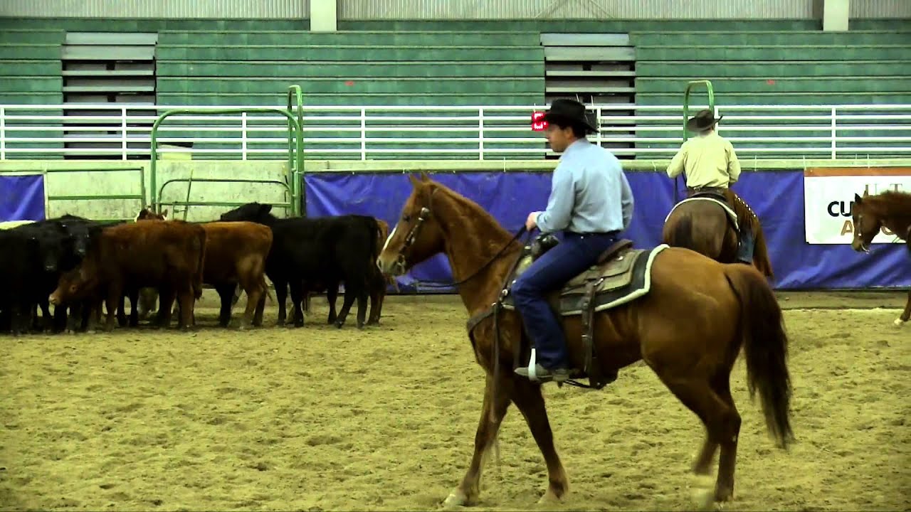 Jody Rookstool - Hybrid Cat - $15k Amateur - YouTube