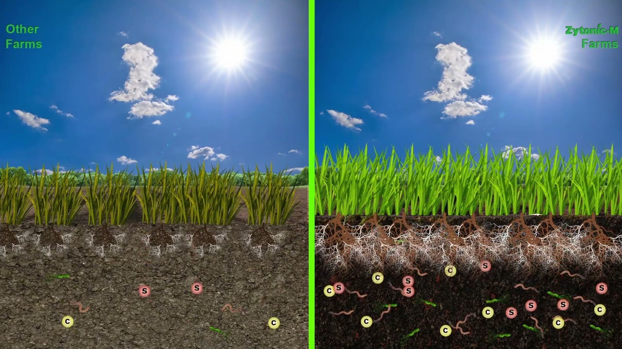 @Zydex Industries Zytonic Features and Benefits - English - YouTube