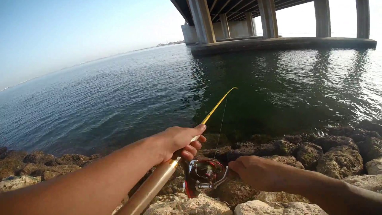 Shore Fishing in Bahrain #1 - YouTube