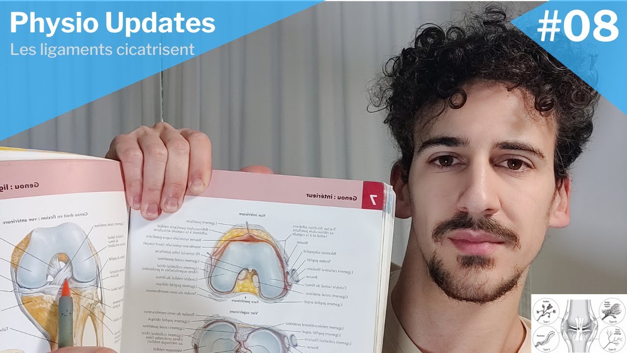 Physio Update #08 : Les ligaments cicatrisent (même le LCA !) - YouTube