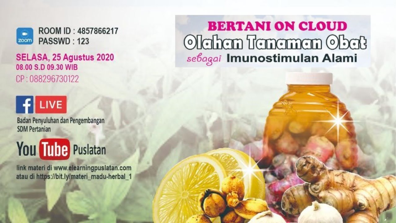 Olahan Tanaman Obat Sebagai Imunostimulan Alami - YouTube