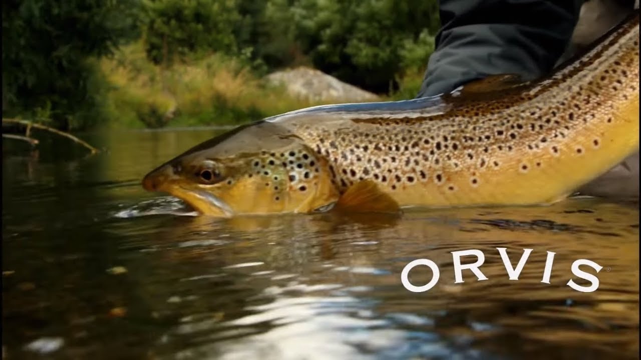 ORVIS - Advanced Nymphing Tactics - Dry-Dropper Accuracy - YouTube