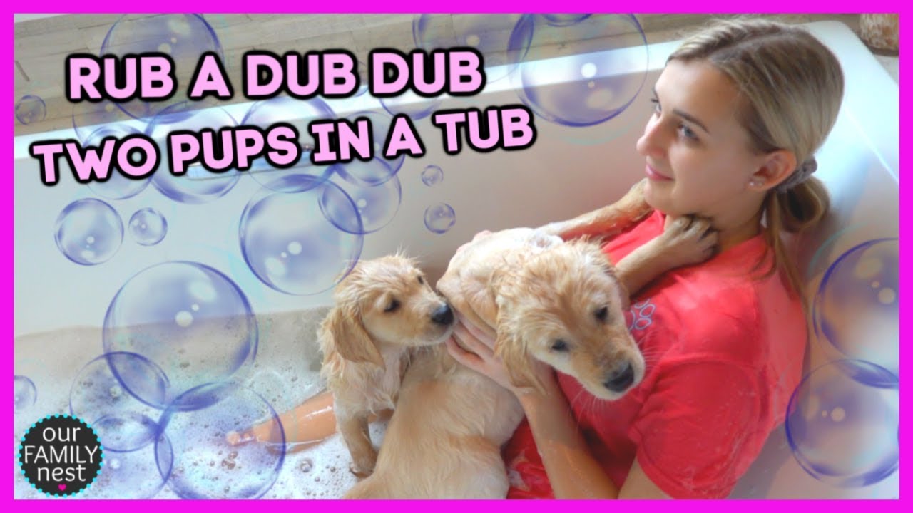 RUB A DUB DUB, TWO PUPS IN A TUB! - YouTube