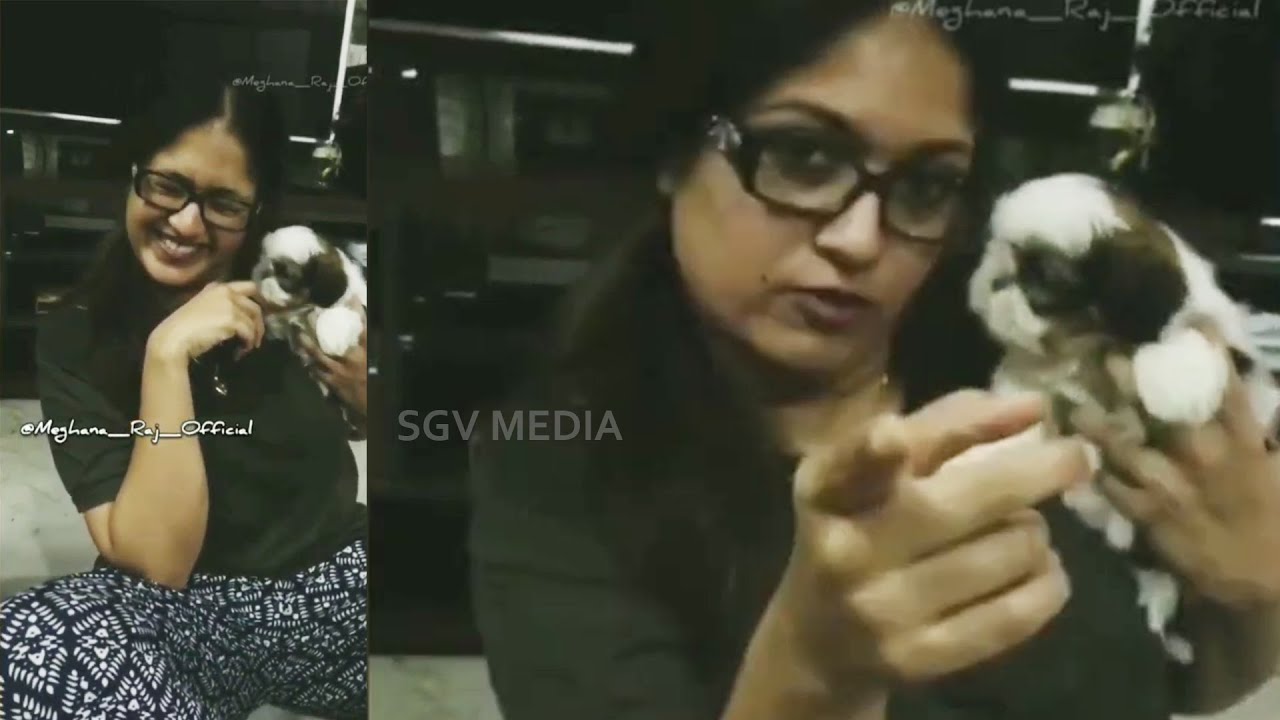 Meghana Raj Playing With Puppy Cute Video 😘😍 | Chiranjeevi Sarja ...