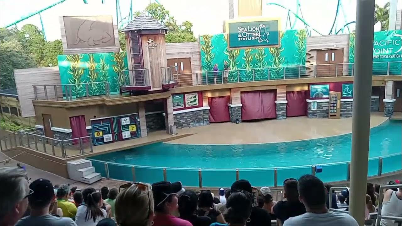 Animal Show - YouTube