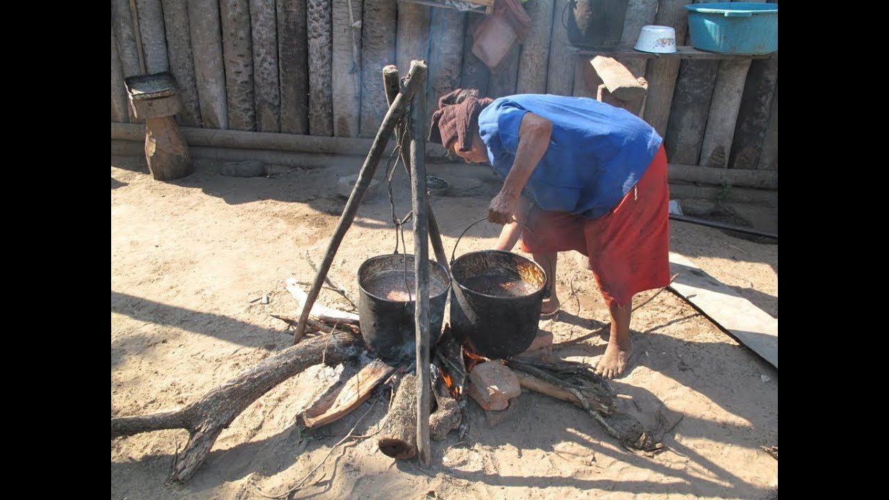 Cook the forest food of Chaco - YouTube