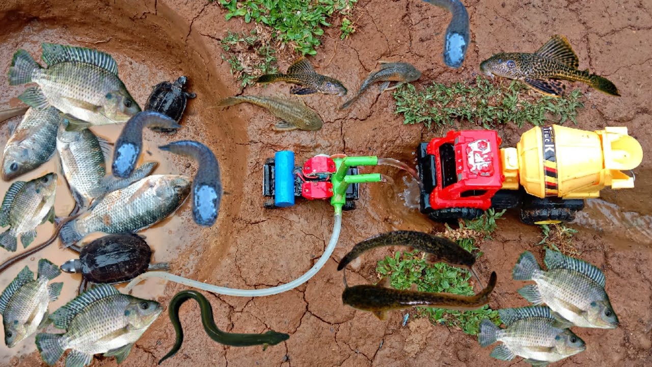 Catch fish using mini water pump | fishing exciting | diy tractor ...