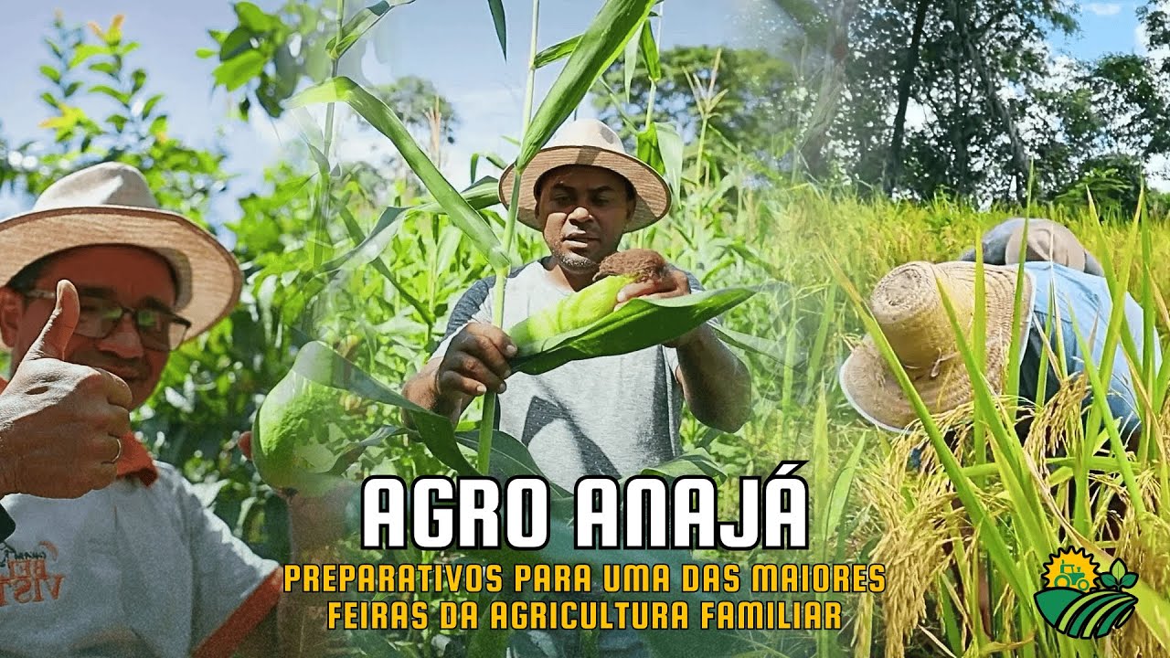 AGRO ANAJÁ: PREPARATIVOS PARA UMA DAS MAIORES FEIRAS DA AGRICULTURA ...