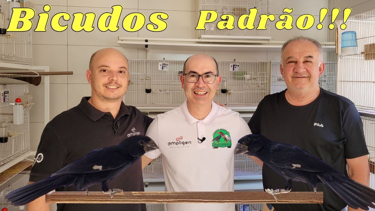 UM DOS MAIORES CRIADORES DE BICUDO DO BRASIL!!! - YouTube