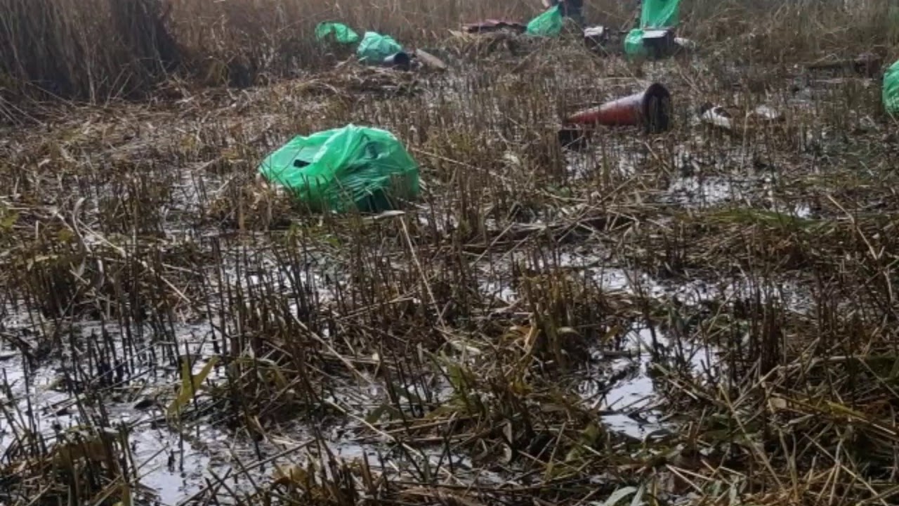 Hamadryad Park, 24 November, 2019 - YouTube