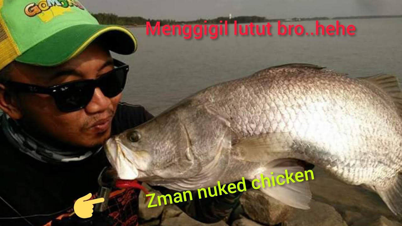Siakap 4.5kg batu bom tanjung piai - YouTube