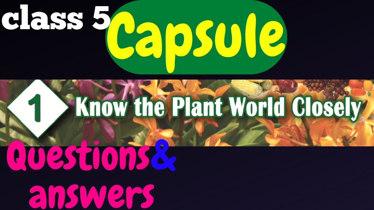 Class 5 Basic Science Know The Plant World Closely questions And class-5-basic-science-know-the-plant-world-closely-questions-and