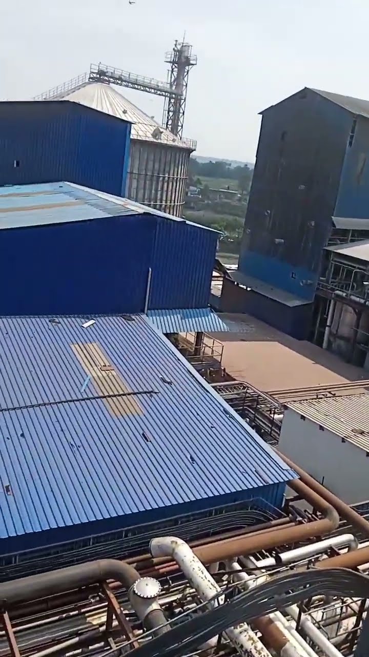 19 July 2024 - YouTube