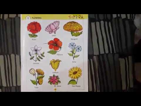 Class LKG-Flowers name.by mrs Ratna Vishwakarma. - YouTube