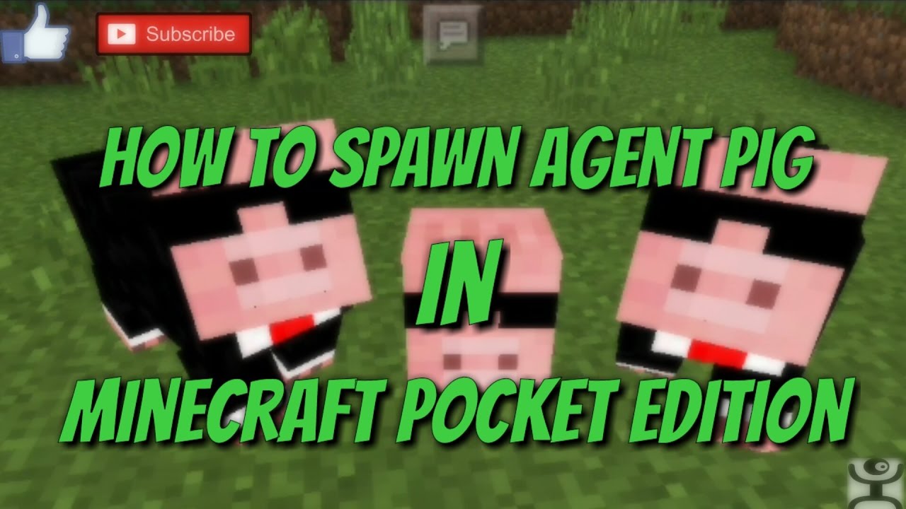 How to Spawn Agent Pig in Minecraft Pocket Edition (1.0.0+ ADDON) - YouTube