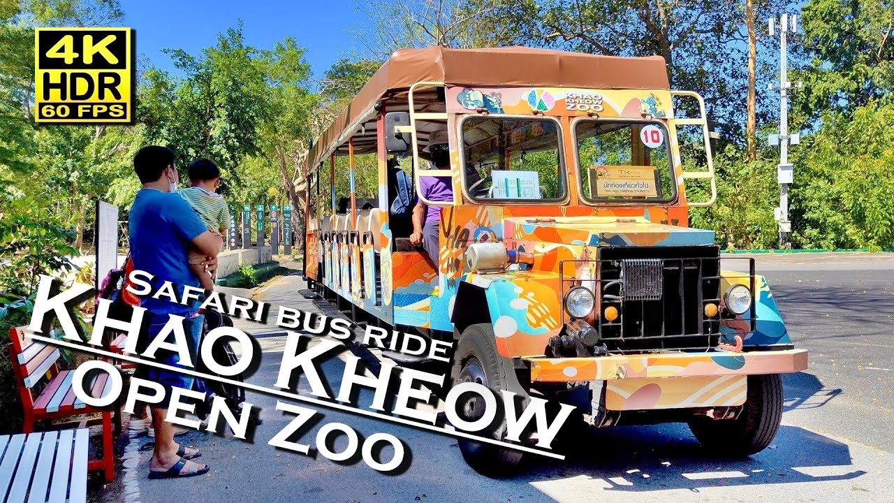 Khao Kheow Open Zoo in 4K 60fps HDR (UHD) Dolby Atmos 💖 African safari ...