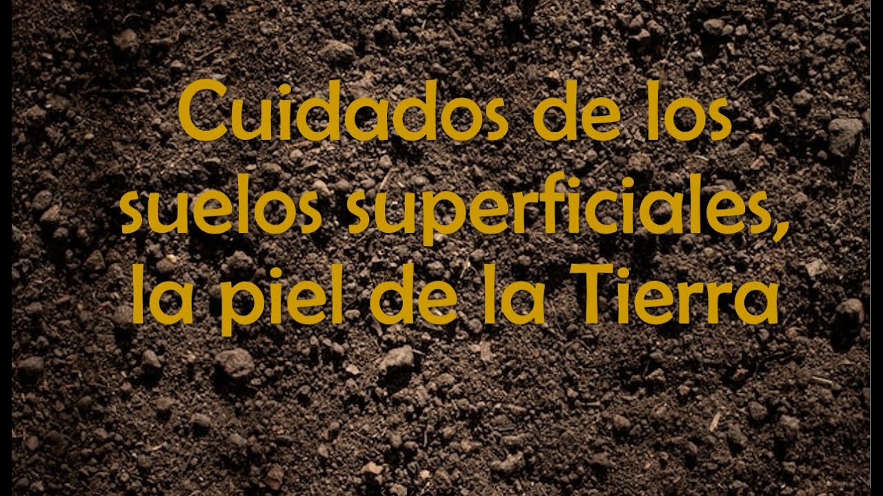Cuidados de los suelos superficiales, la piel de la Tierra. (Charla ...