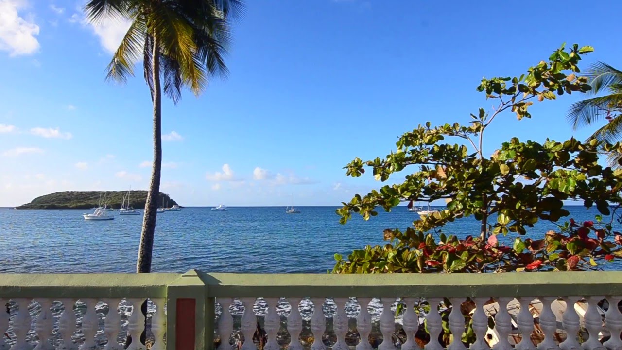 Peace at Malecon - Esperanza, Vieques, Puerto Rico - YouTube