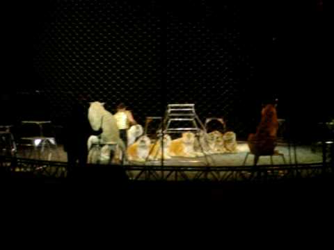 Circus in Baltimore - YouTube