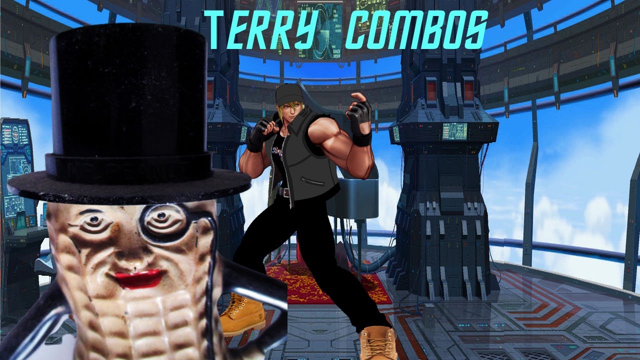 KOF XIII []TERRY[] Practical Combos - YouTube