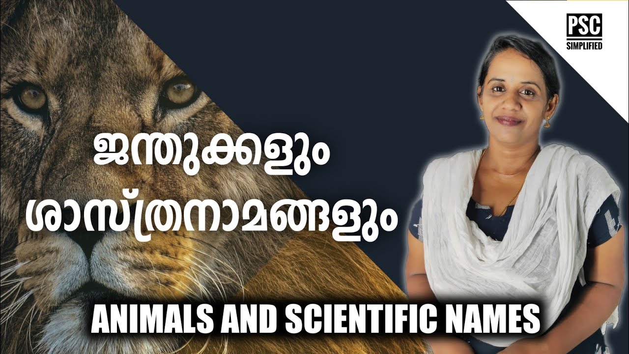 മൃഗങ്ങളും അവയുടെ ശാസ്ത്രനാമങ്ങളും // Animals and their Scientific Names ...