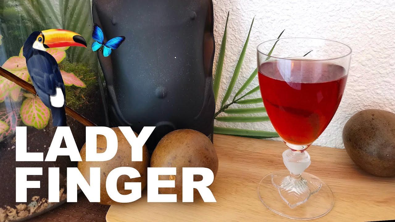 LADY FINGER - Tasty and Super EASY two ingredients drink for all GIN ...