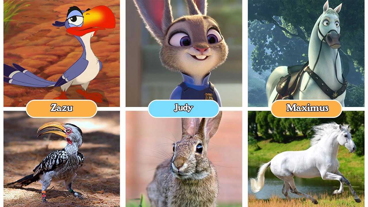 Comparison : Disney Characters as Real Animals (part 2) - YouTube