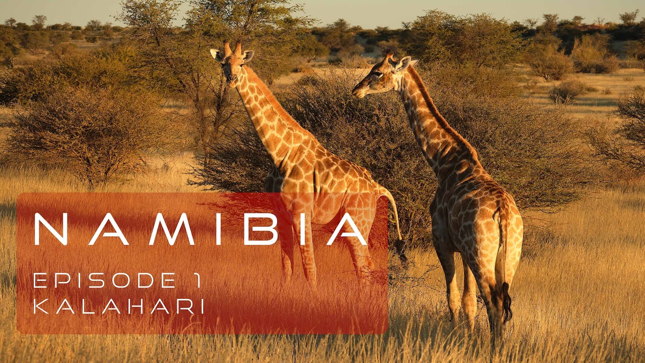 Namibia Roadtrip & Fototour - Episode 1 - Kalahari - YouTube