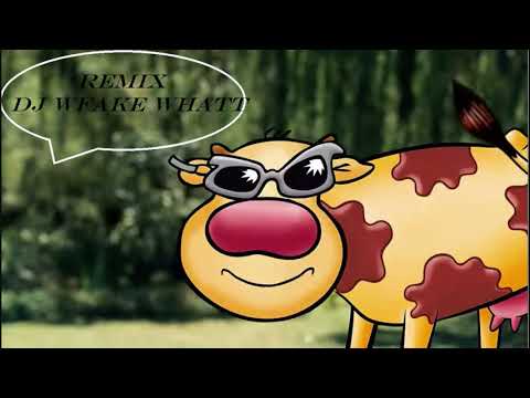 mumu la mucca con gli occhiali remix - YouTube