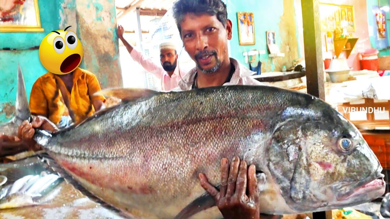 AMAZING GIANT SIZE TREVALLY FISH CUTTING SKILLS | THENGA PAARAI MEEN ...