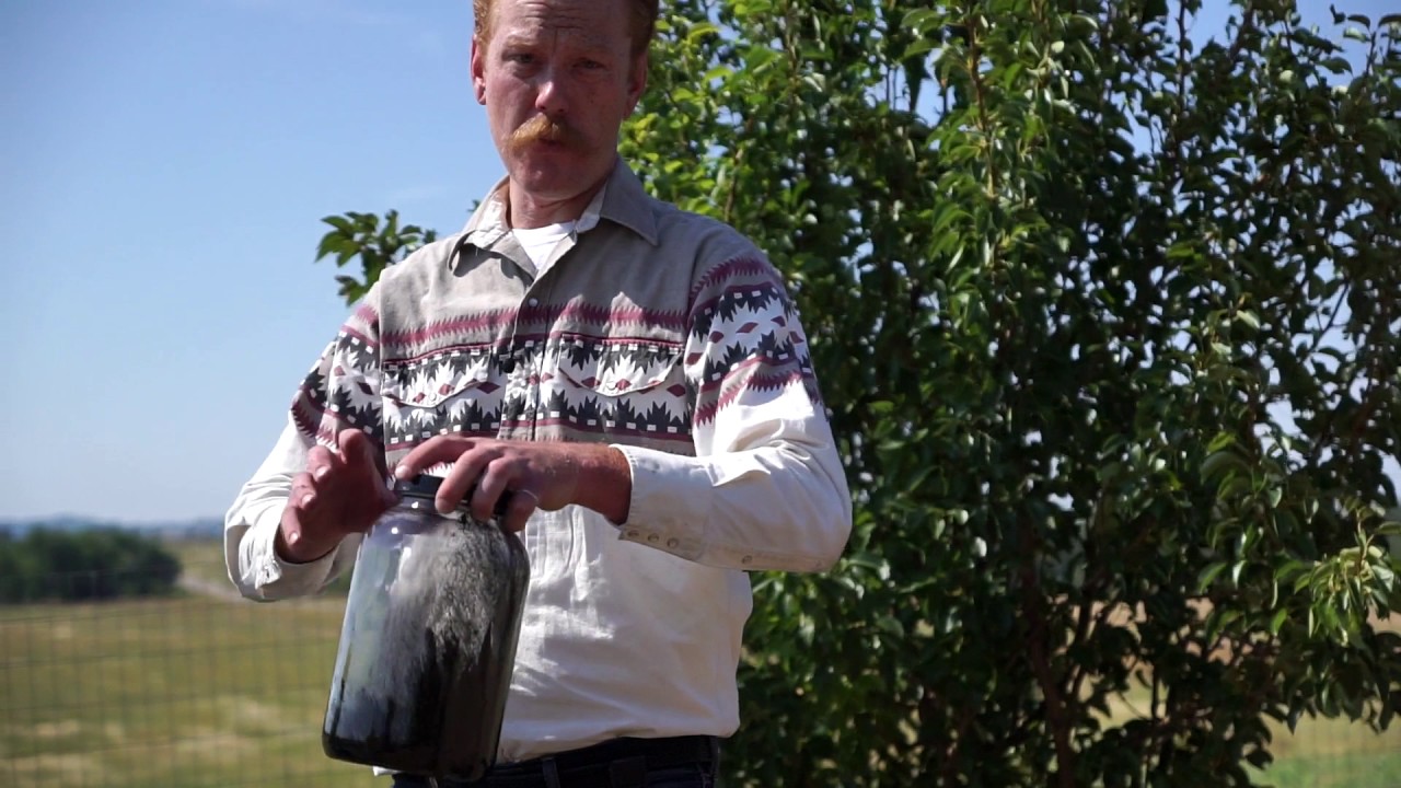 Activated Charcoal for Soil Detox - YouTube