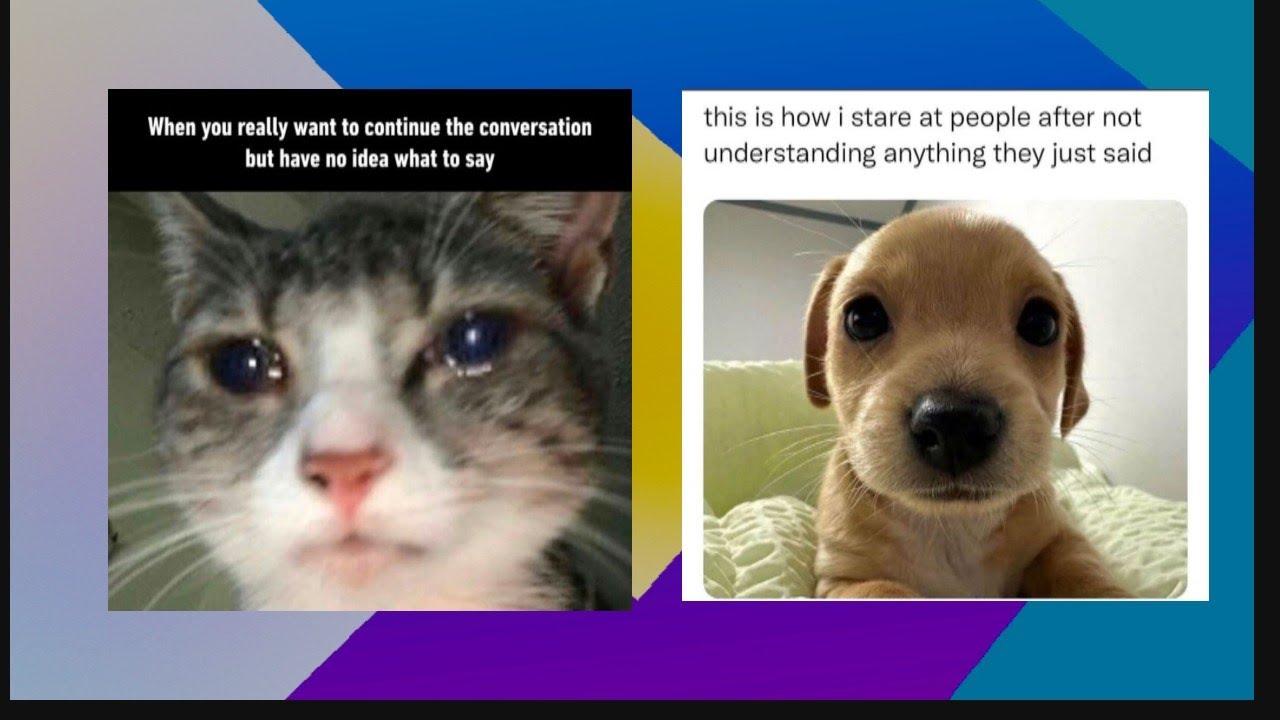 memes. video |memes funny compilation| memes fun memes | memes images ...