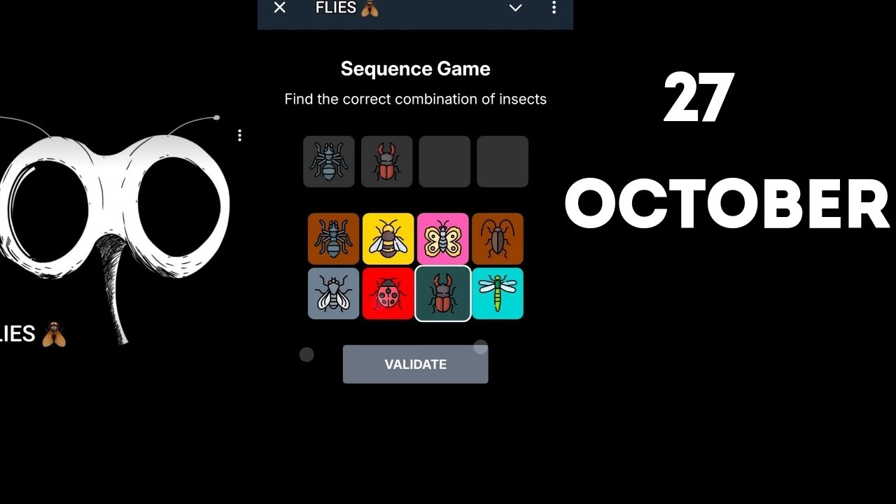 Flies Daily Combo 27 October | Flies Sequence Game | Flies Airdrop ...