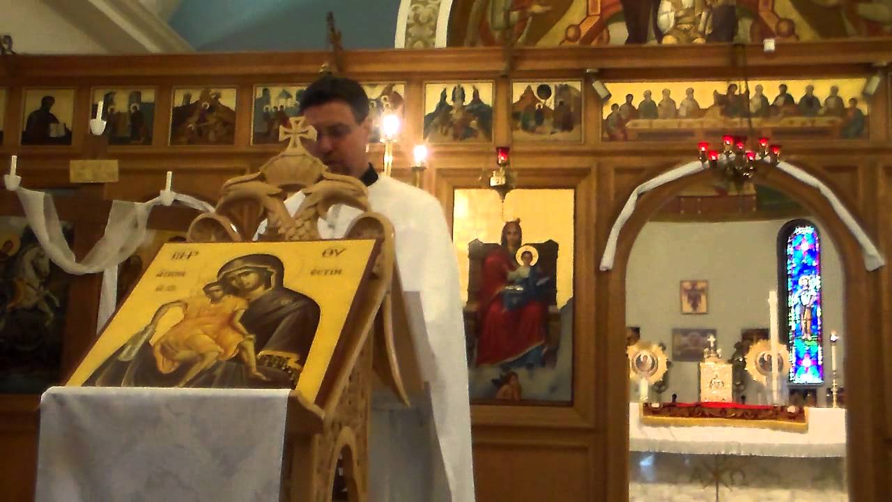 5-17-15 Fr. Joe - Sunday of the Blind Man - On Seeing Reality - YouTube