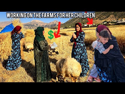 True Life Story 🌿 |A Widowed Nomadic Mother’s Daily Struggle Working in the Fields for Her Children💔