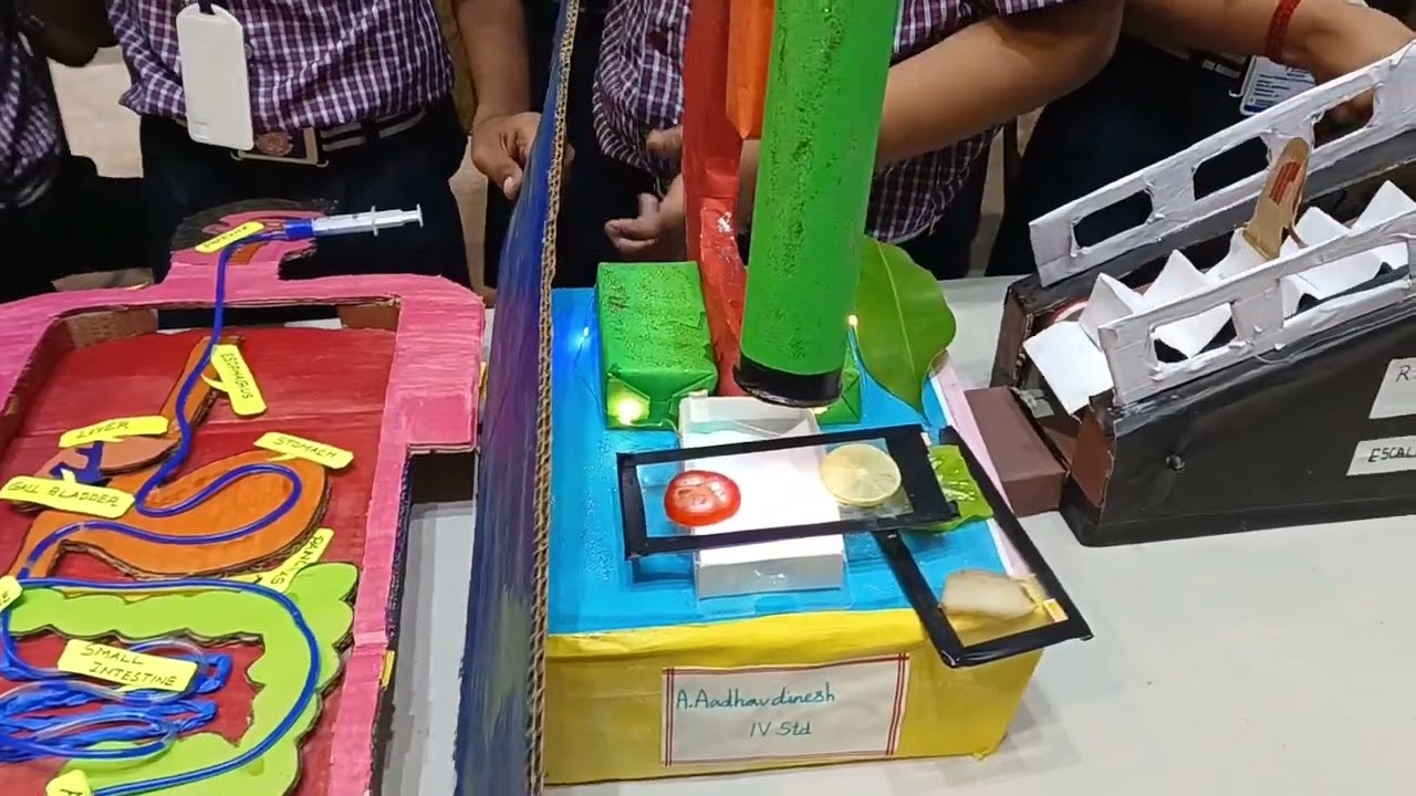 Science project for 4th standard - Go IT