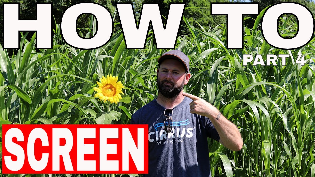 How To SCREEN Food Plots! Tips & Ideas - YouTube