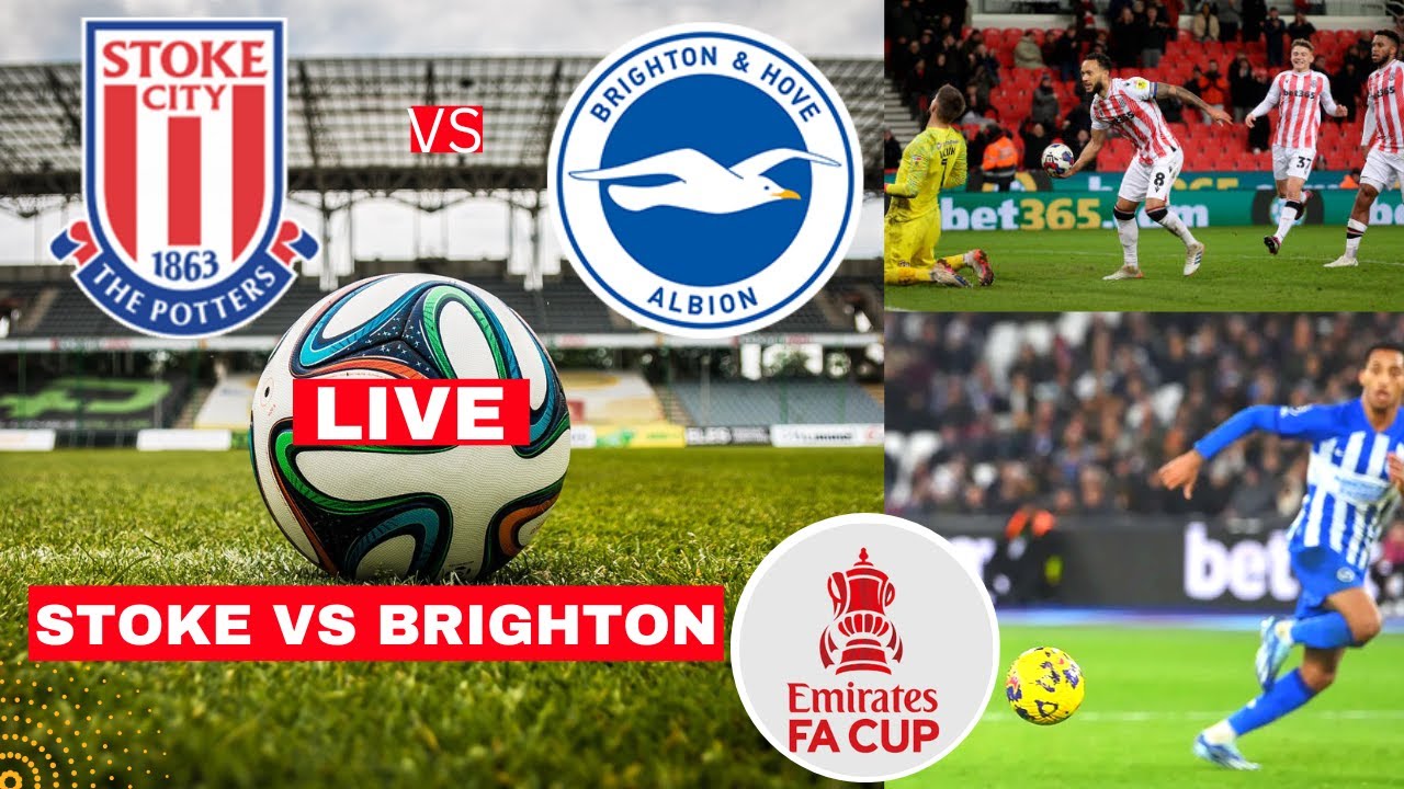 Stoke City vs Brighton 2-4 Live Stream FA Cup Football Match Score ...