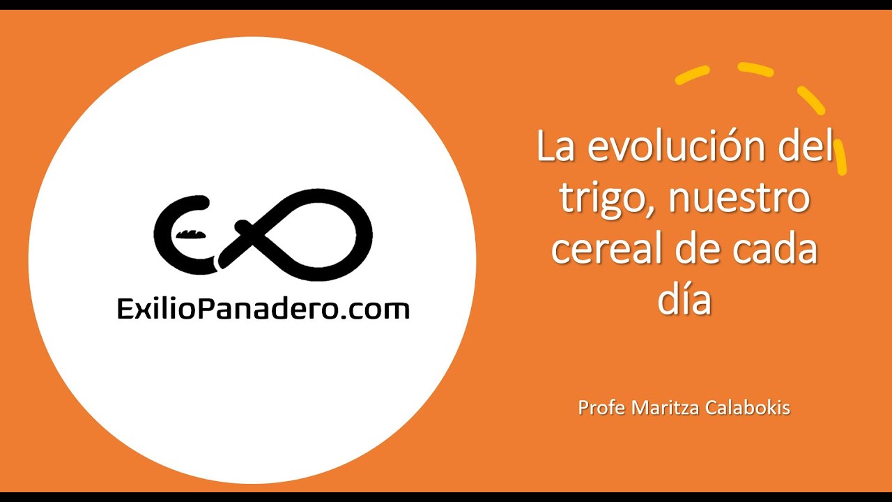 Evolución del grano de trigo - YouTube