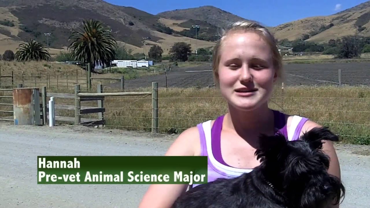 Cal Poly Veterinary Clinic - YouTube