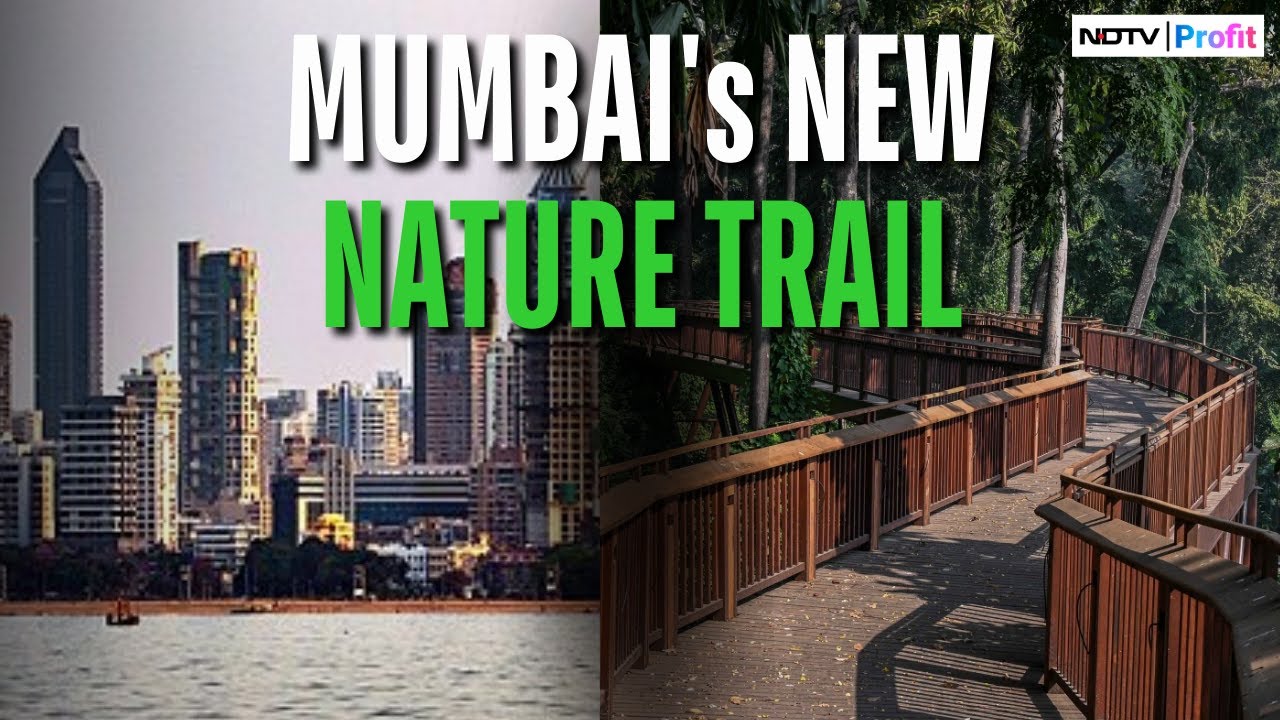 Mumbai is All Set to Get Its First Elevated Forest Walkway at Malabar ...