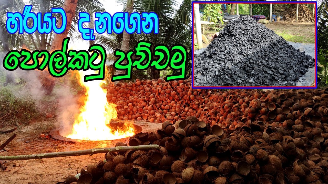 පොල්කටු අගුරු පුච්චන නිවැරදිම පහසුම විදිහ polkatu aguru hadana hati ...