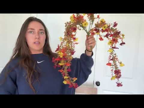 IMG_6423.MOV