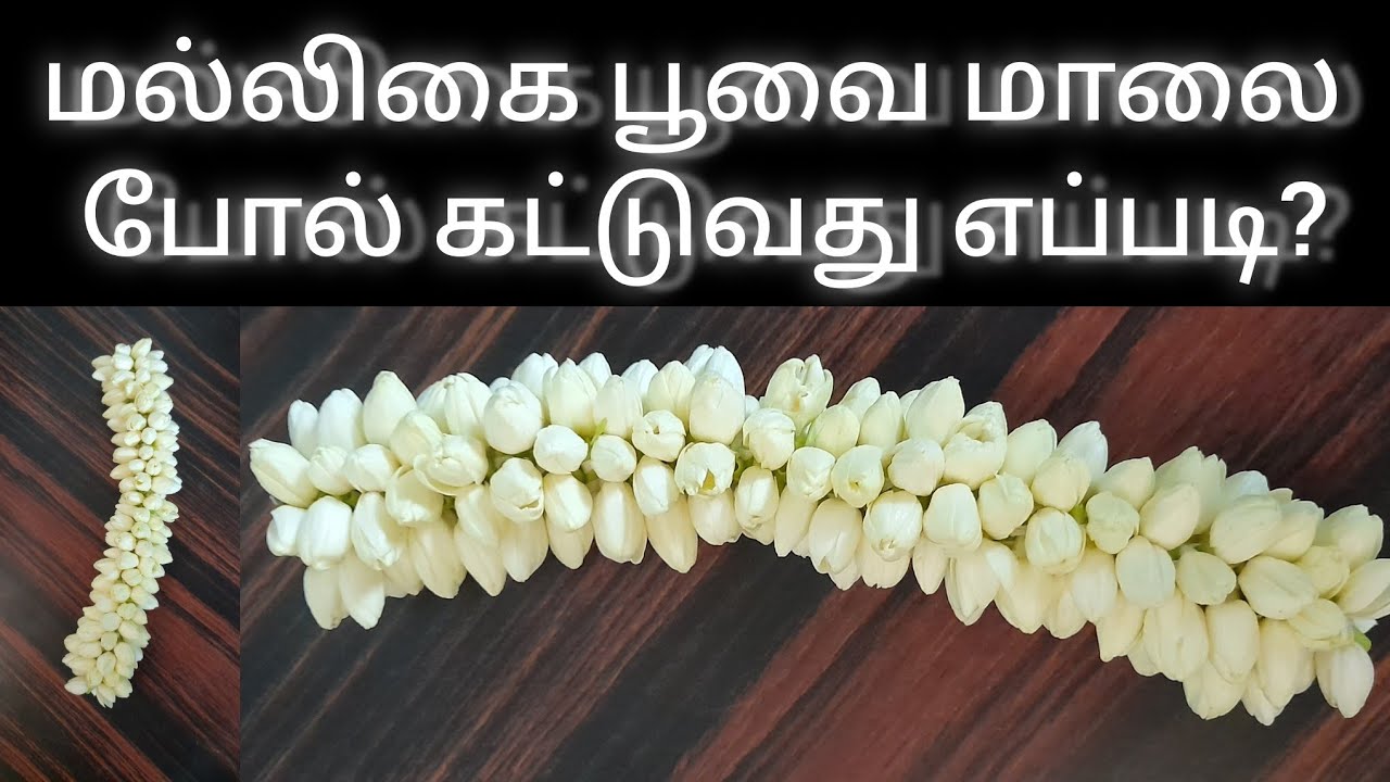 how to make jasmine flower garland in tamil / மல்லிகை பூவை மாலை போல் ...