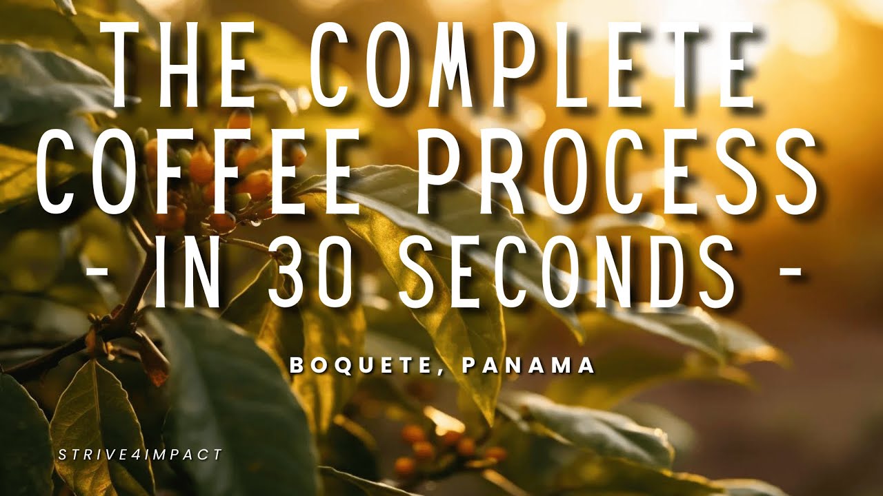The Complete Coffee Process! 25 seconds. Read Each Step In Descrip ...