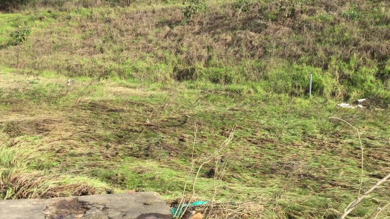 The Liverpool weir, Georges River - YouTube