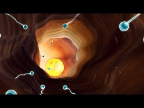 🔴#LIVE: DRIVE SHOW : ZIFAHAMU ATHARI ZA UPANDIKISHWAJI MBEGU ; NA DR ...