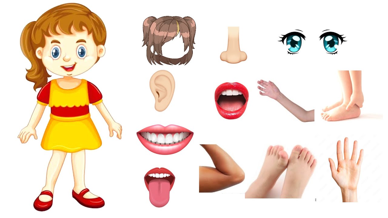 Body parts names for kids in Malayalam and English - YouTube